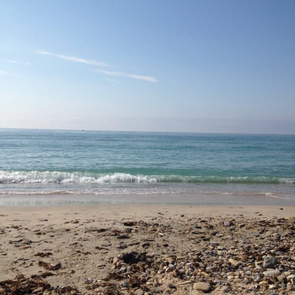 Les mots à sens multiples - MURIEL ROMANA